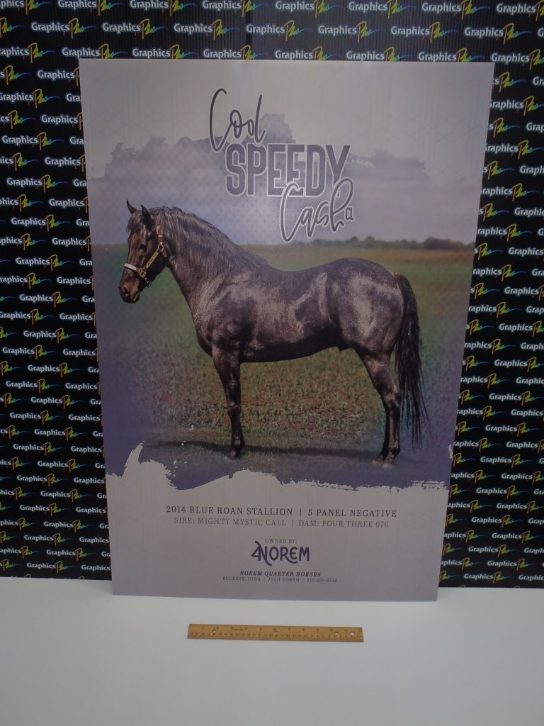 Posters for all occasions – Graphics Plus